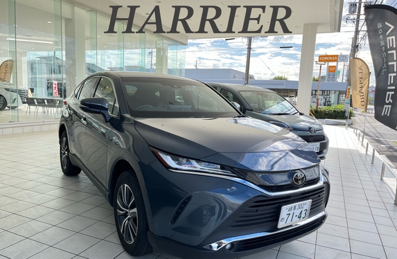 🌼試乗車紹介『HARRIER編』🌼